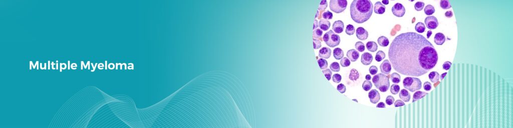 Forms in a type of white blood cell called as plasma cell.