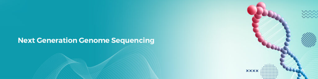 Next Generation Sequencing (NGS)