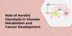 Aerobic Glycolysis in Glucose Metabolism and Cancer Development