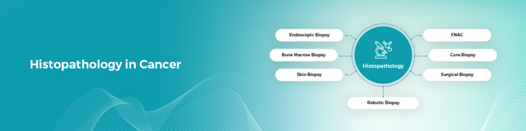 Histopathology in Cancer